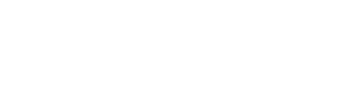 Transparency Portal