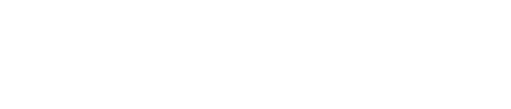 Transparency Portal