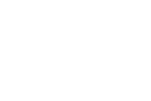 Transparency Portal
