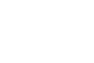 Transparency Portal